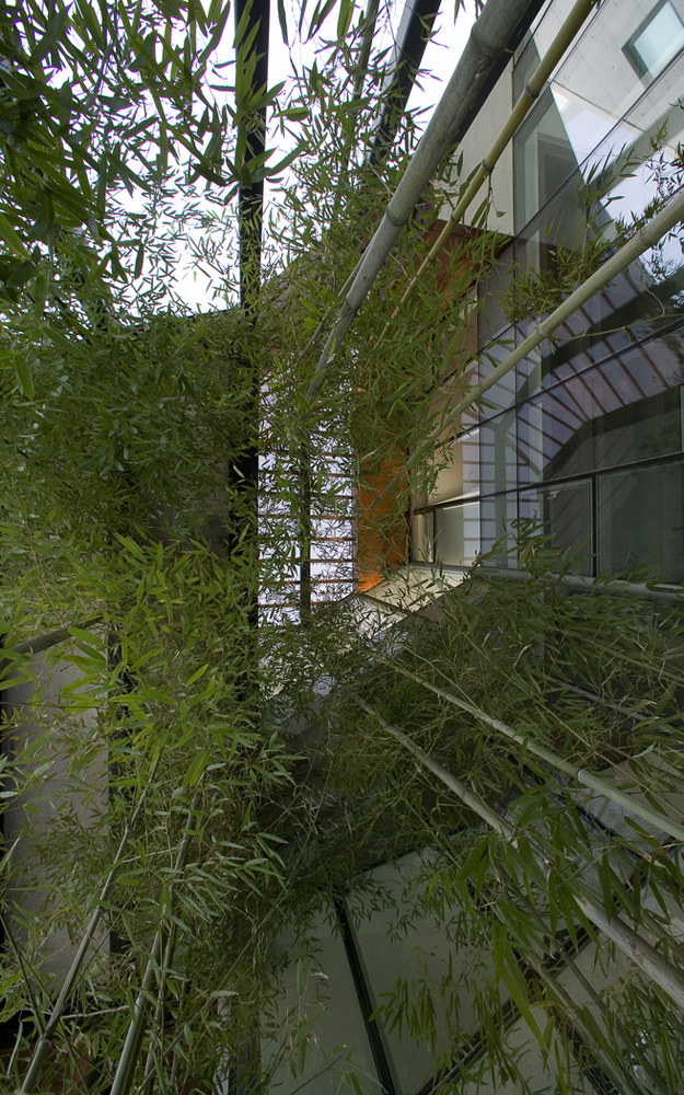 Cross Grain House by himma studio - Architizer