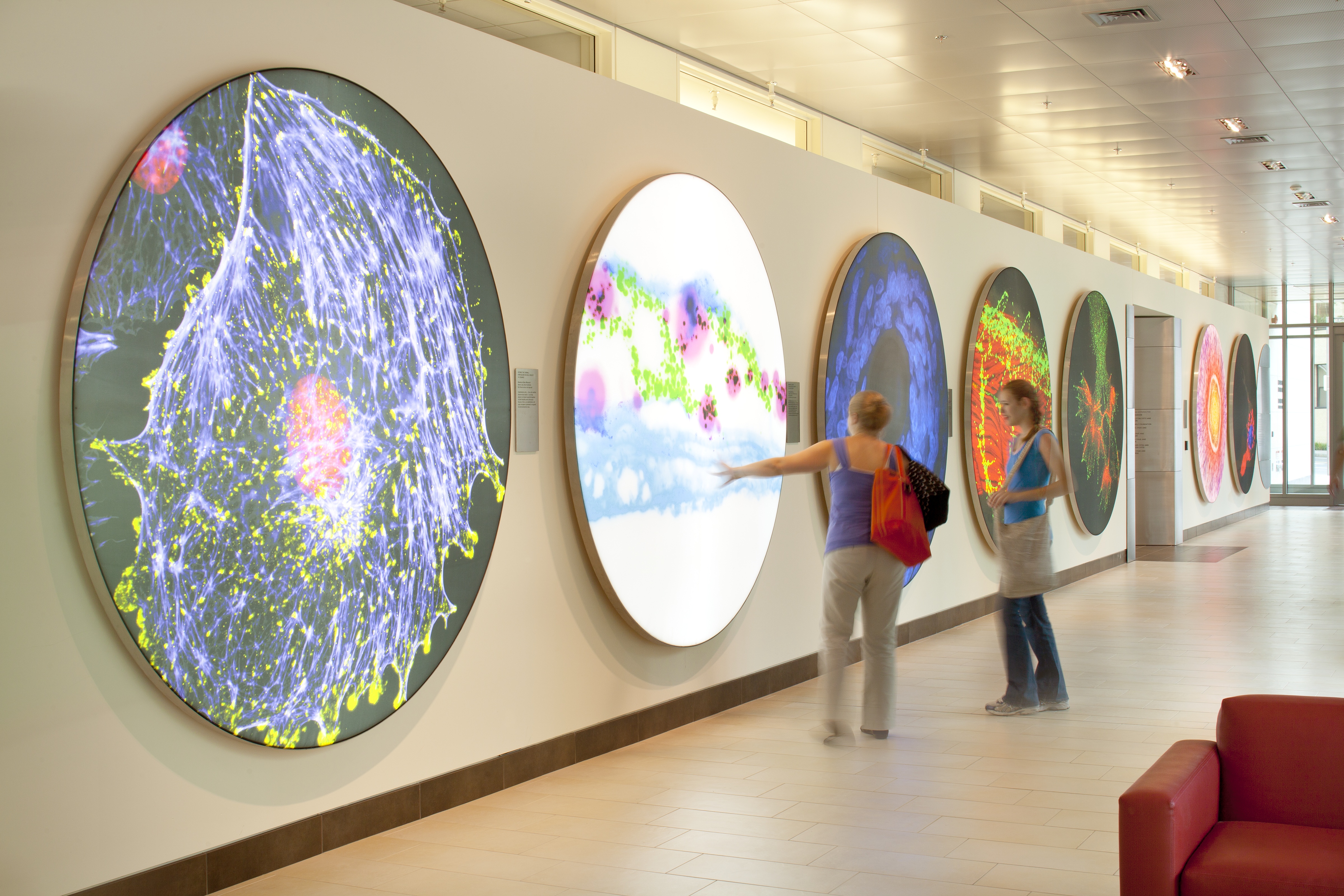 Koch Institute Public Gallery at MIT - Architizer