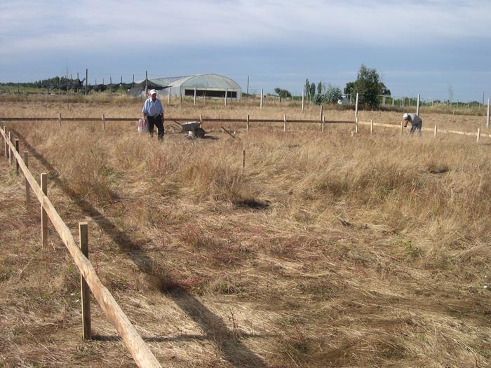 Ruiz House - Architizer