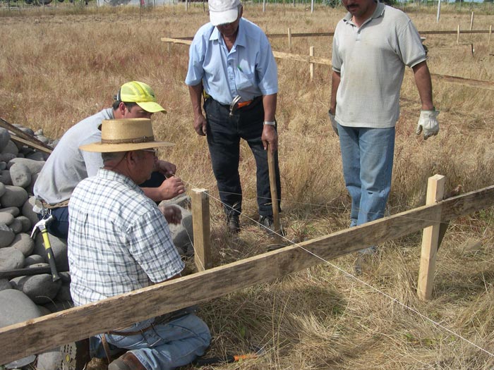 Ruiz House - Architizer