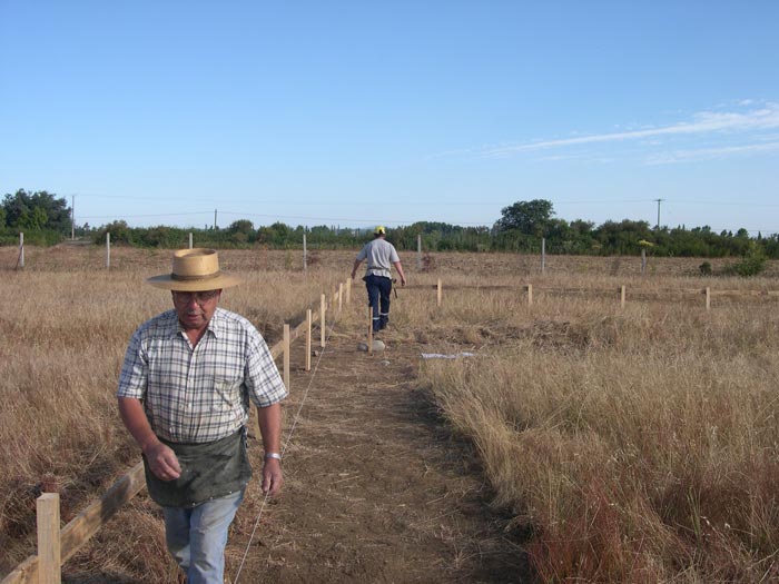 Ruiz House - Architizer