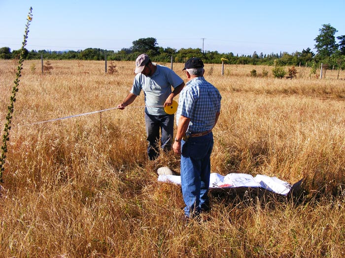 Ruiz House - Architizer