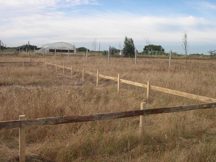 Ruiz House - Architizer