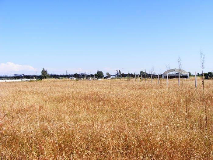 Ruiz House - Architizer