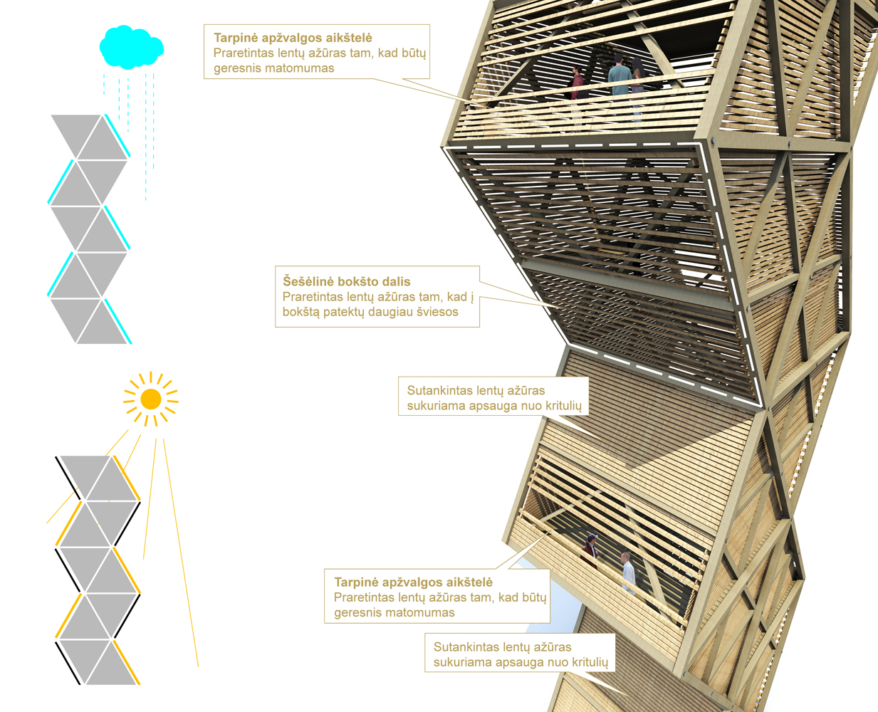 Tree Top Walking in Anykščiai - Architizer
