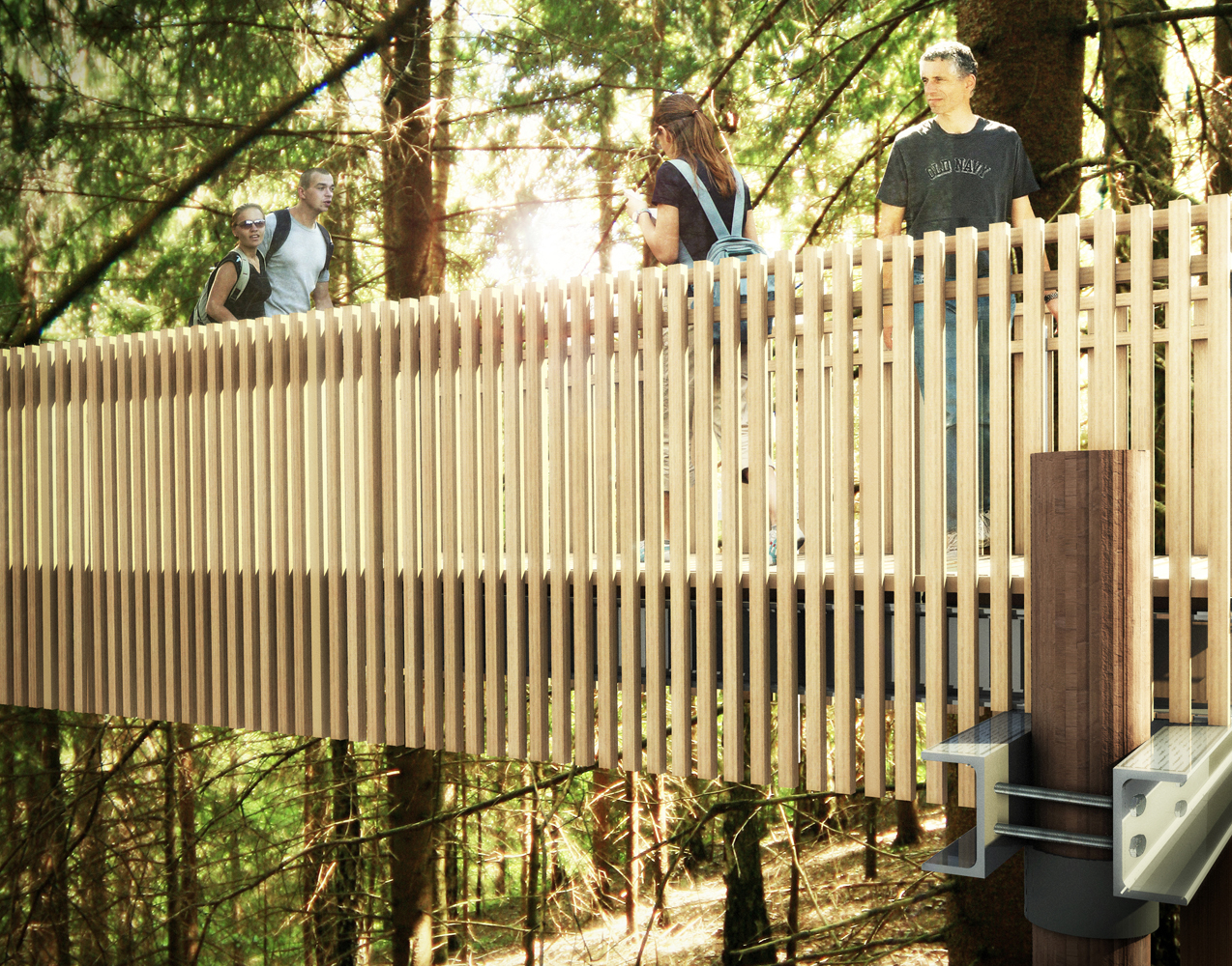 Tree Top Walking in Anykščiai - Architizer