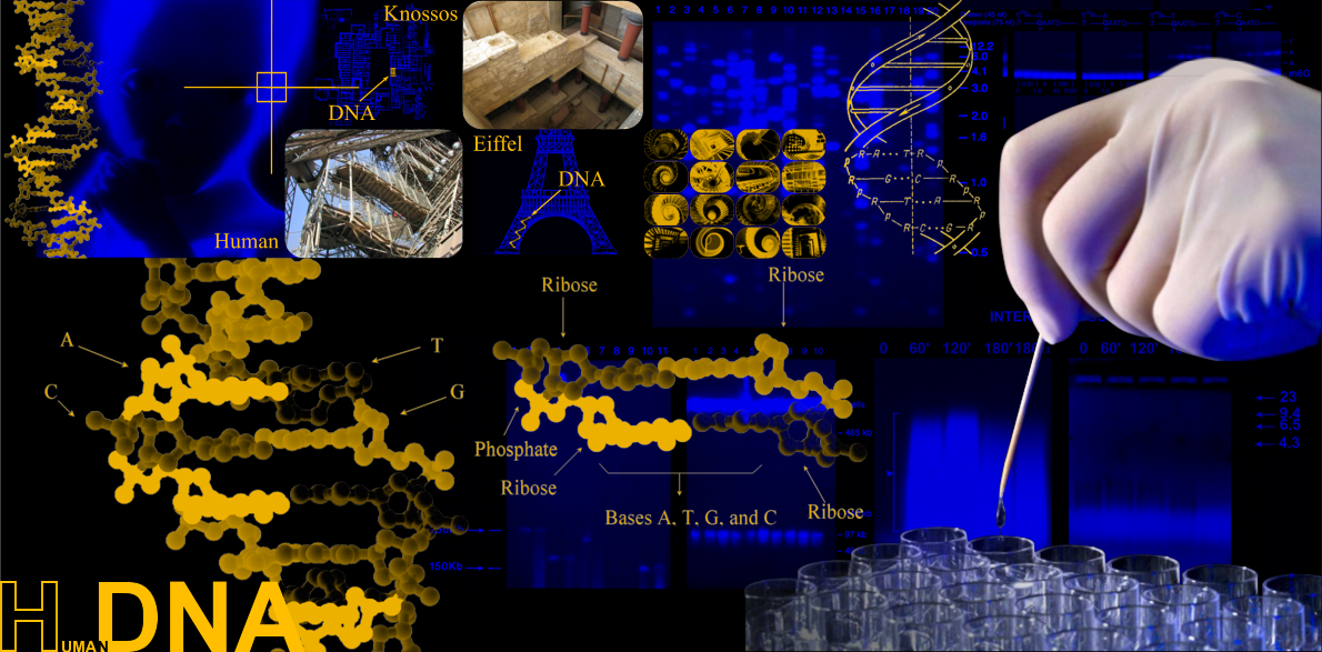 Architectural DNA - Architizer