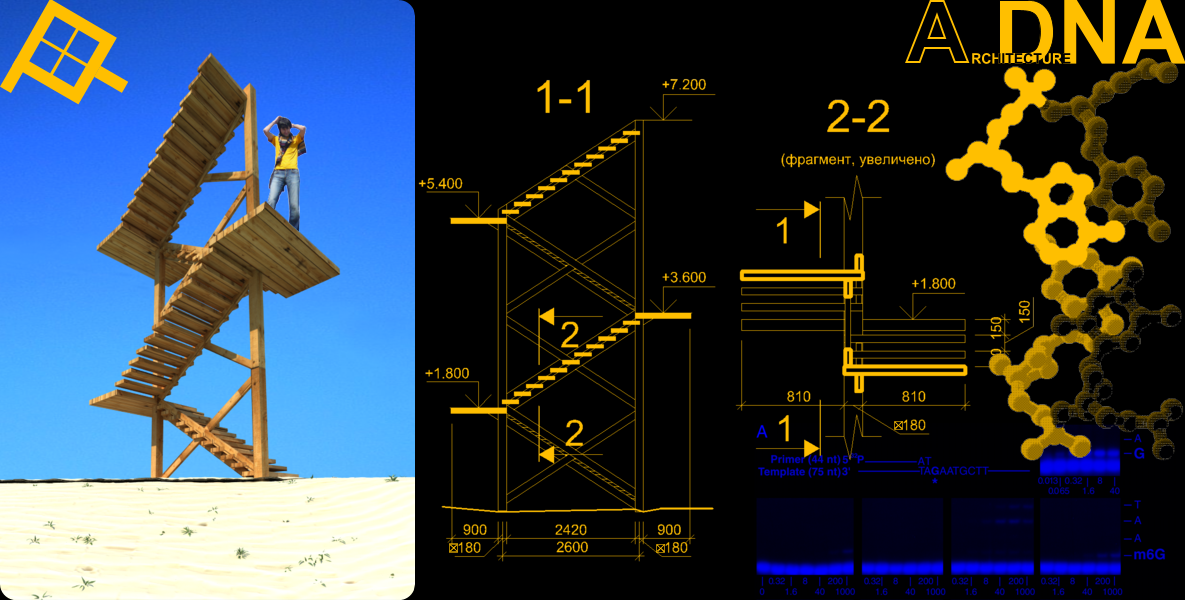 Architectural DNA - Architizer