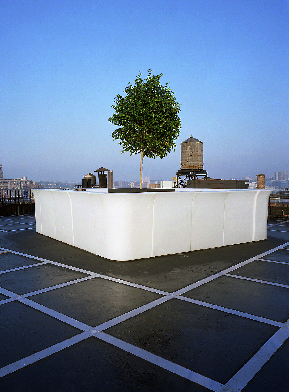MINI ROOFTOP NYC by KKLD* - Architizer