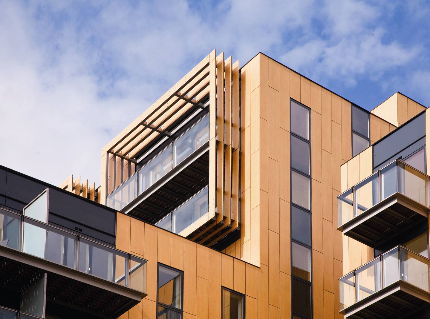 Rockpanel Woods, unrivalled durability of stone by Rockwool B.V ...