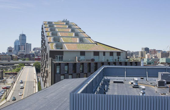 Macallen Building by Office dA - Architizer