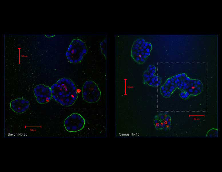 Ground Substance by Sabin+Jones LabStudio - Architizer