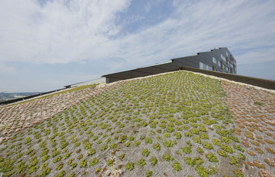 Macallen Building by Office dA - Architizer