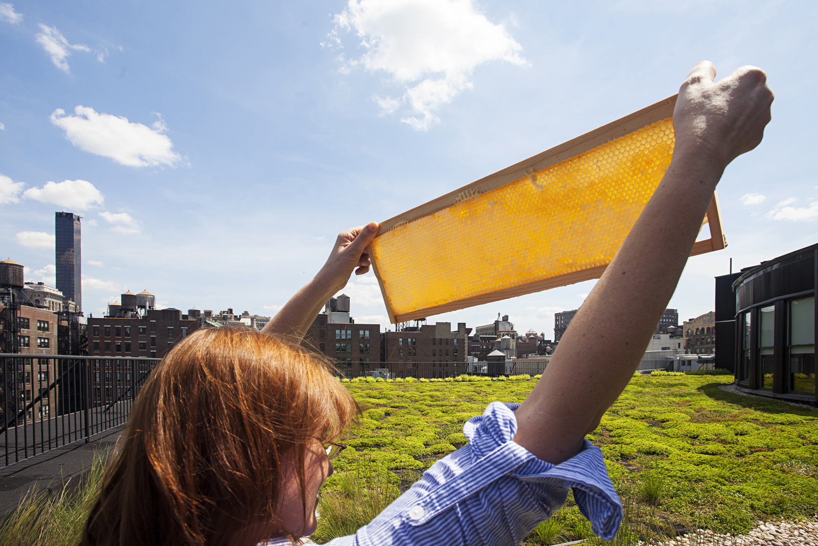 COOKFOX Architects - Architizer