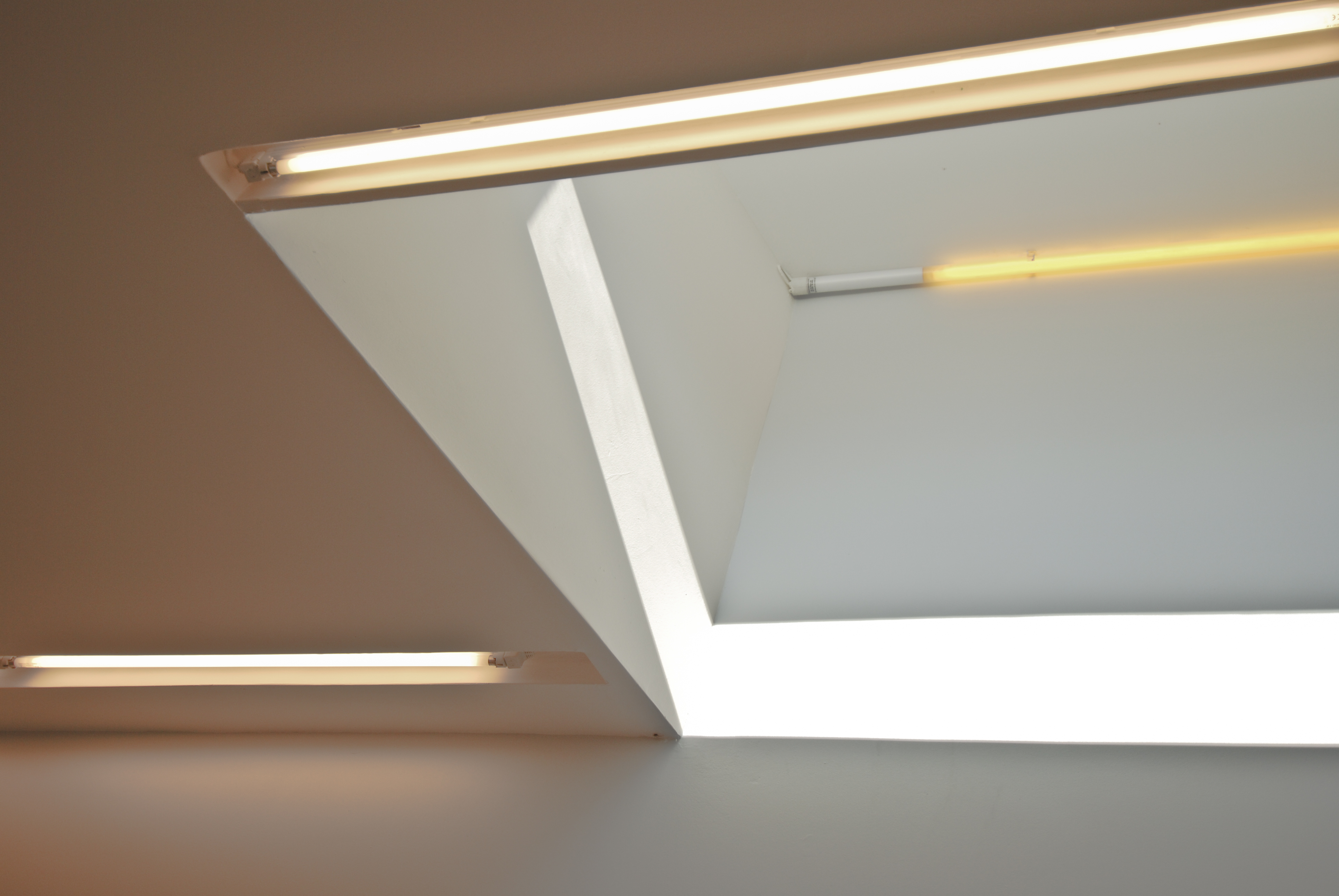 Timber Fin House by Neil Dusheiko Architects - Architizer