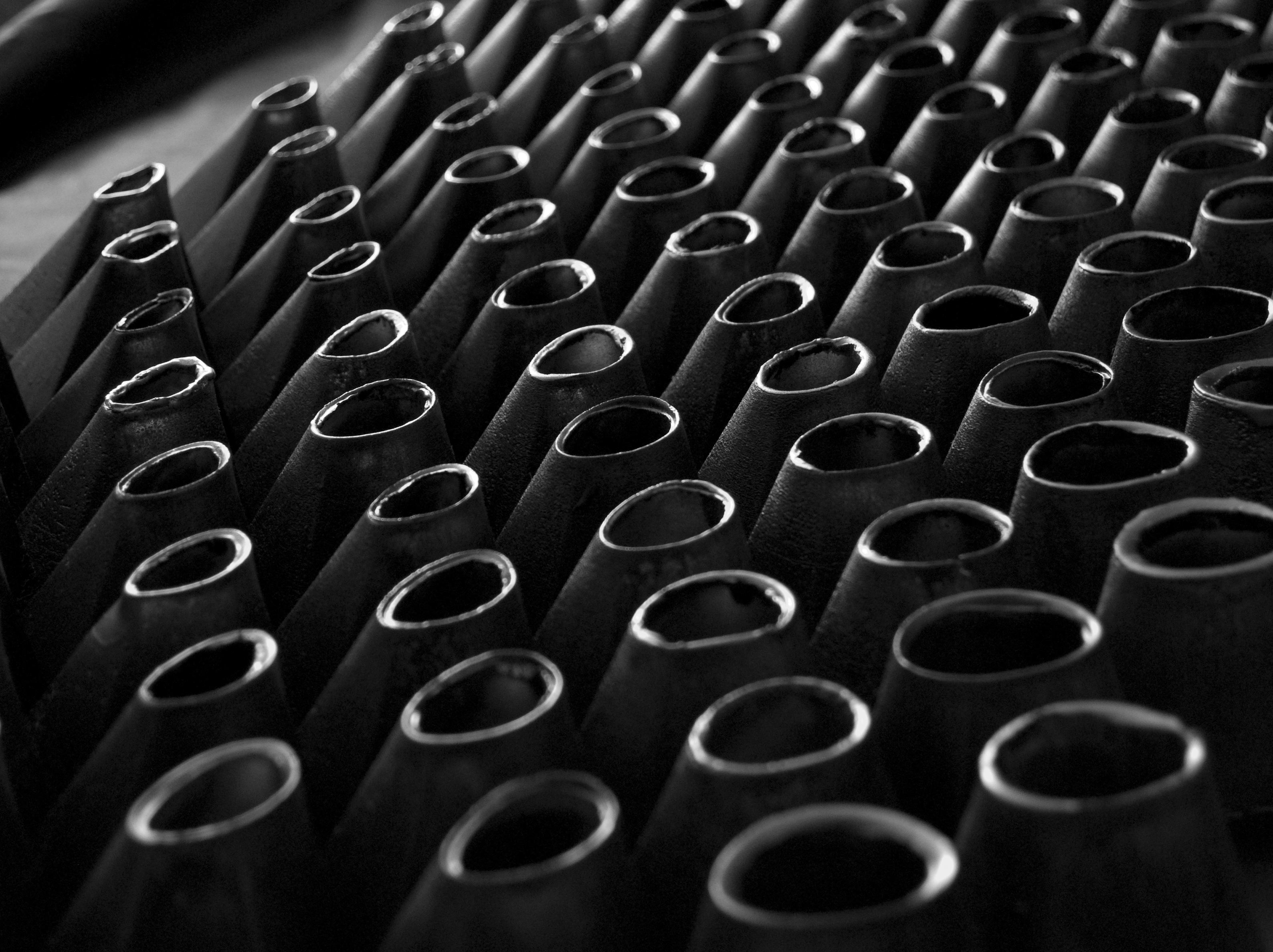 apomorphic nest - Architizer