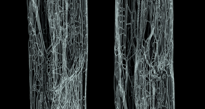 Fibrous Tower 2 by Kokkugia - Architizer