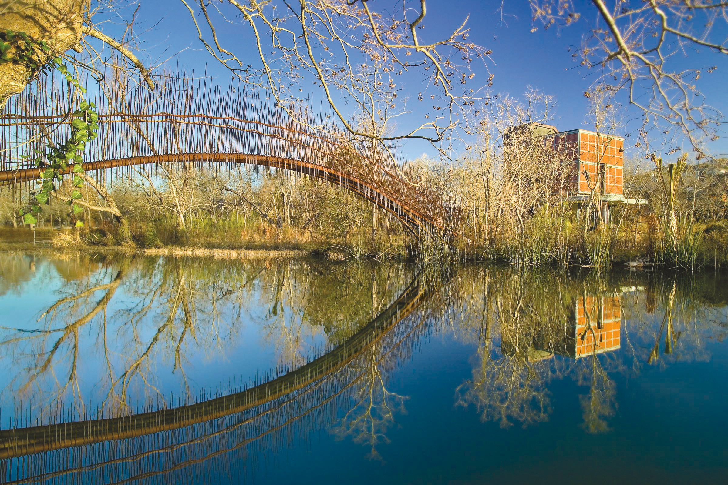 Pedestrian Bridge in Austin by Miró Rivera Architects - Architizer