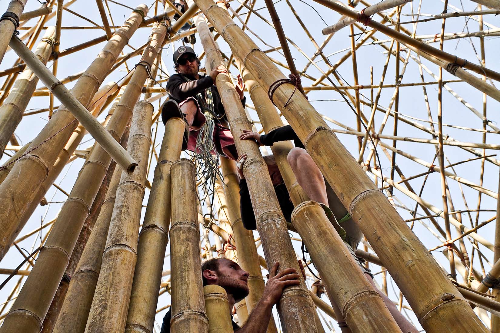 Big Bambú at the Macro Museum by Starn Studio - Architizer