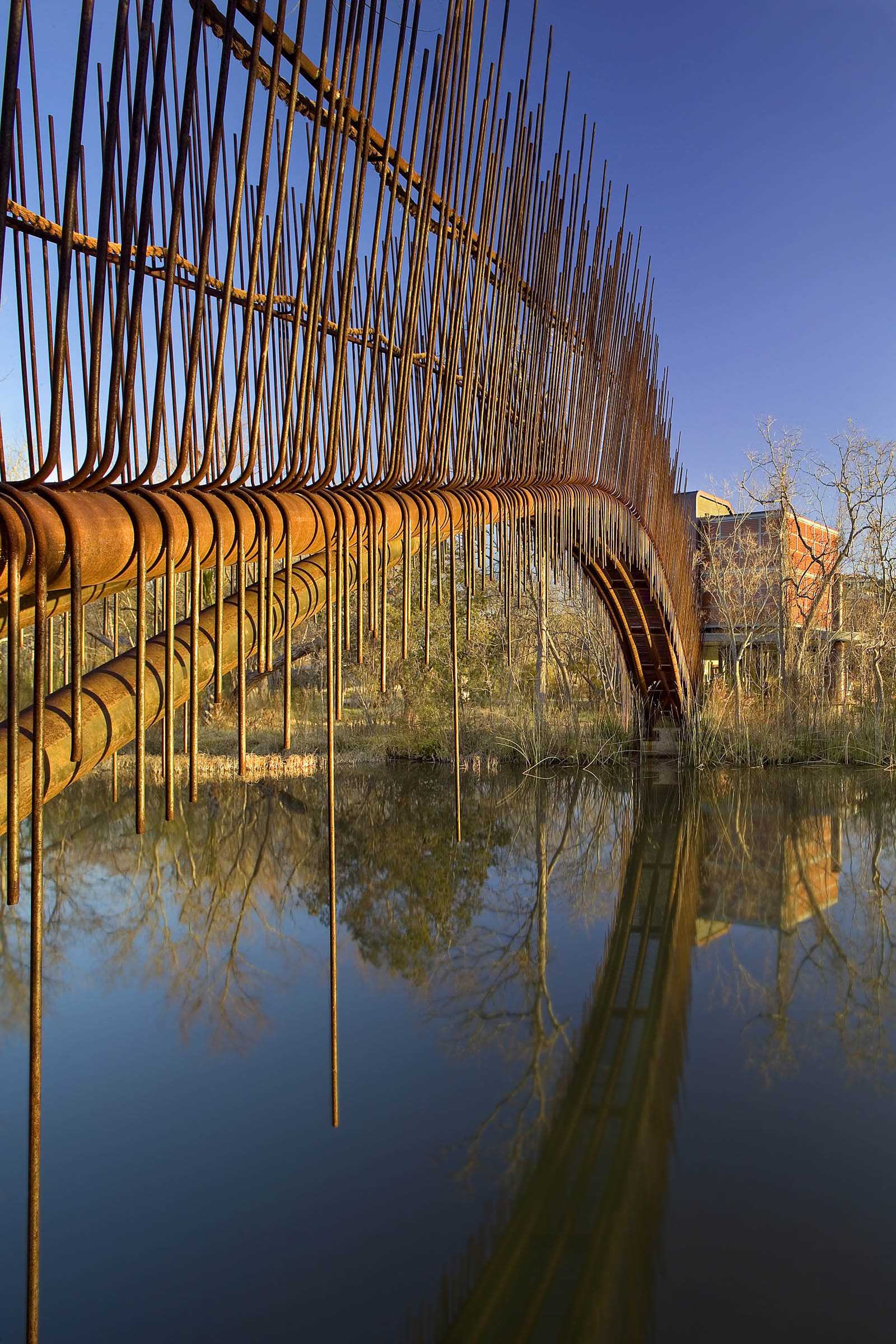 Pedestrian Bridge in Austin by Miró Rivera Architects - Architizer