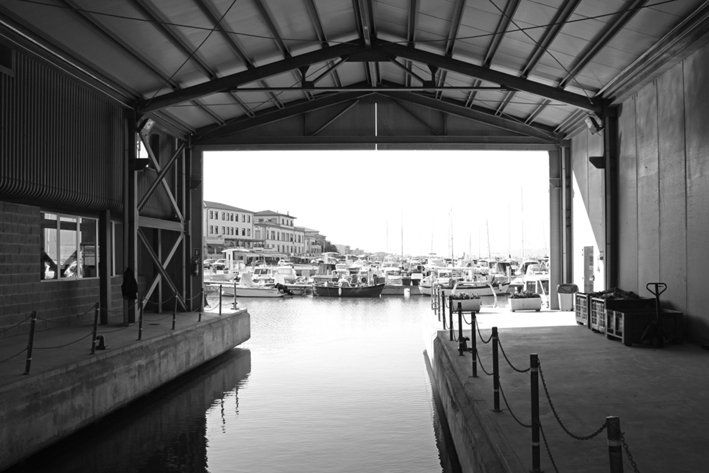 MSV_Harbour - Boatyard Building by Pierfrancesco Capolei - Architizer