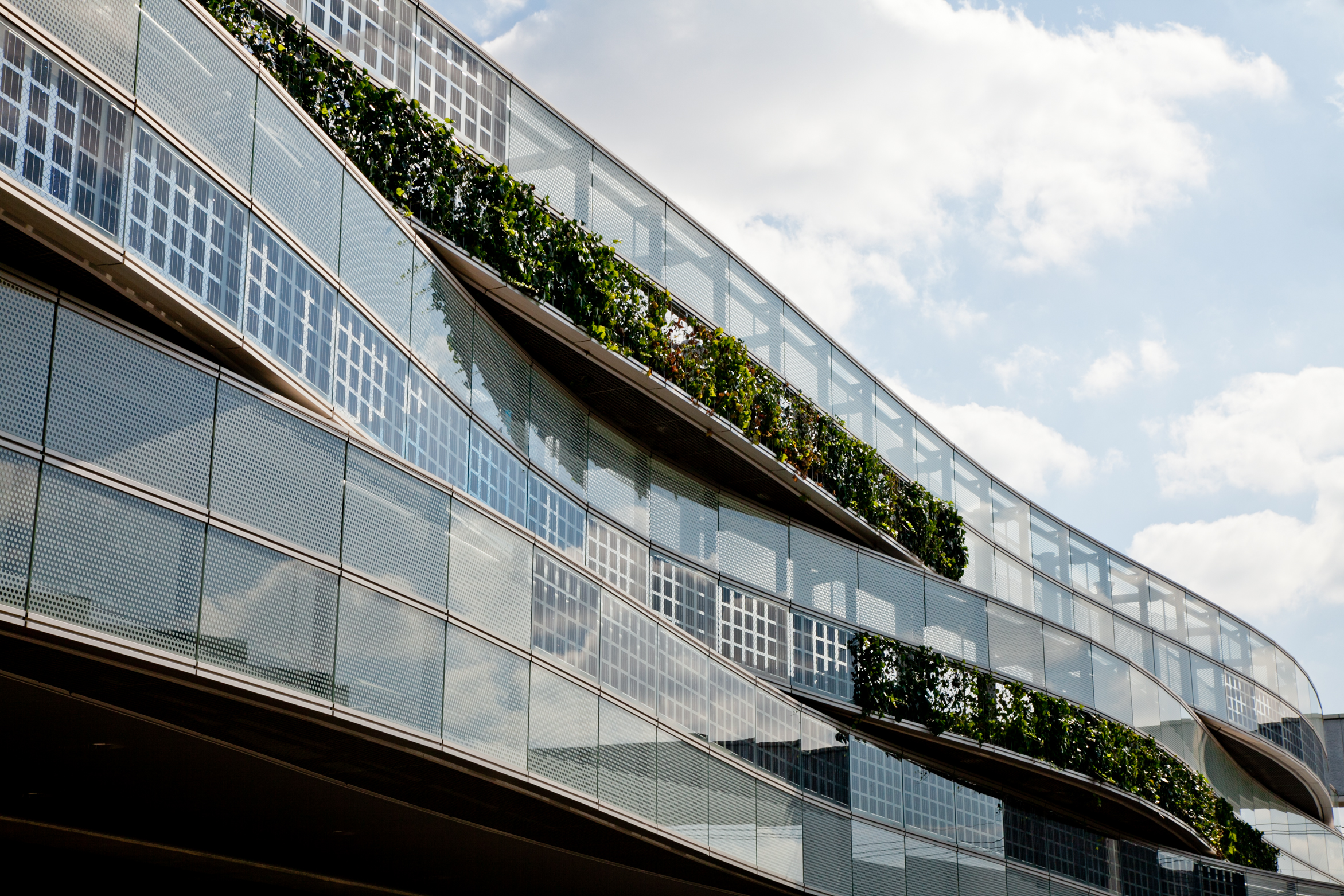 The American School in Japan (ASIJ) by TANGE ASSOCIATES - Architizer