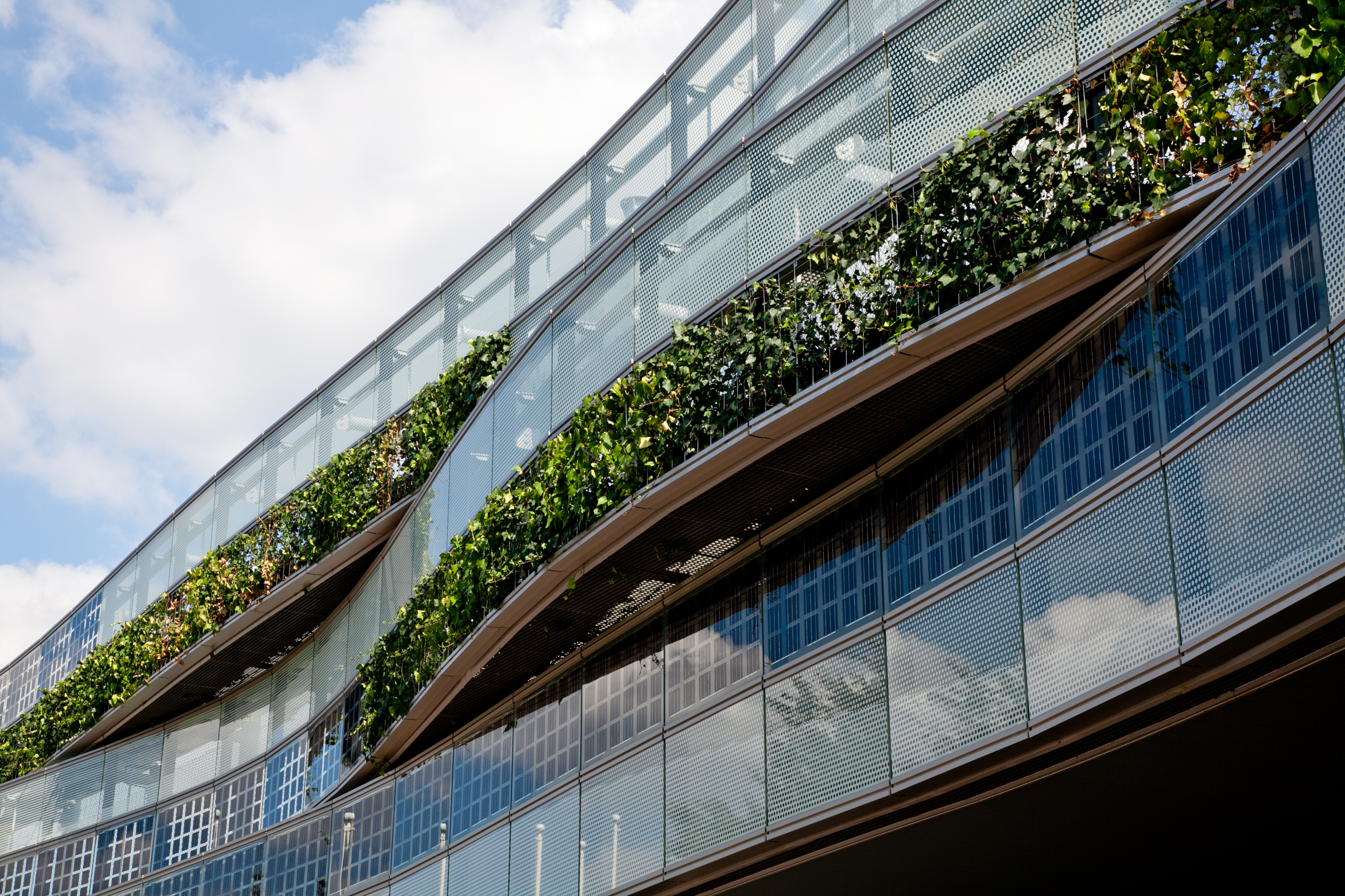 The American School in Japan (ASIJ) by TANGE ASSOCIATES - Architizer