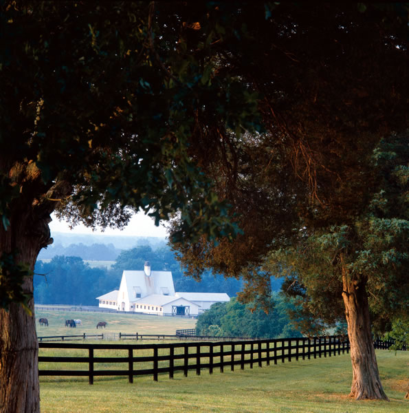 Old Raptor Farm - Architizer