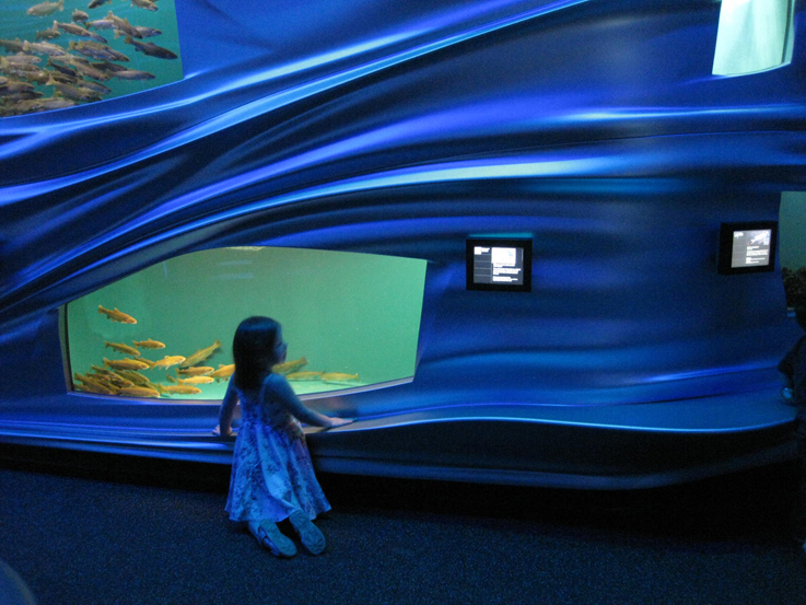 Water Planet by Tom Hennes, Thinc Design - Architizer