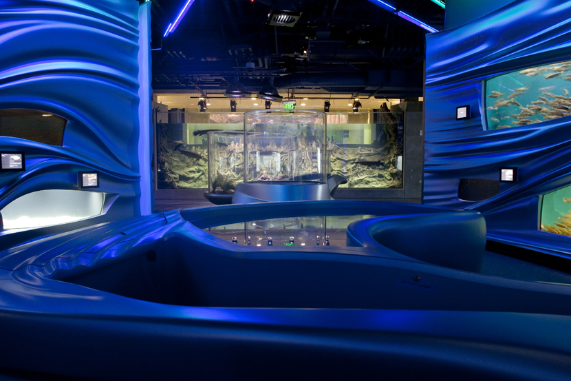 Water Planet by Tom Hennes, Thinc Design - Architizer