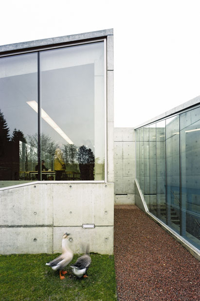The Hedge House - Architizer