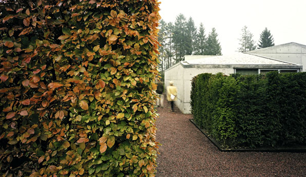 The Hedge House - Architizer