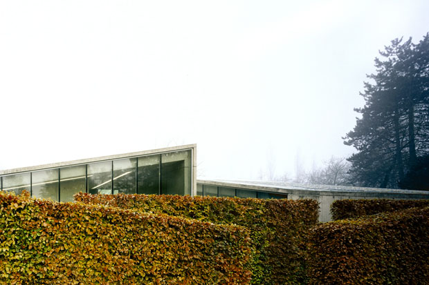 The Hedge House - Architizer