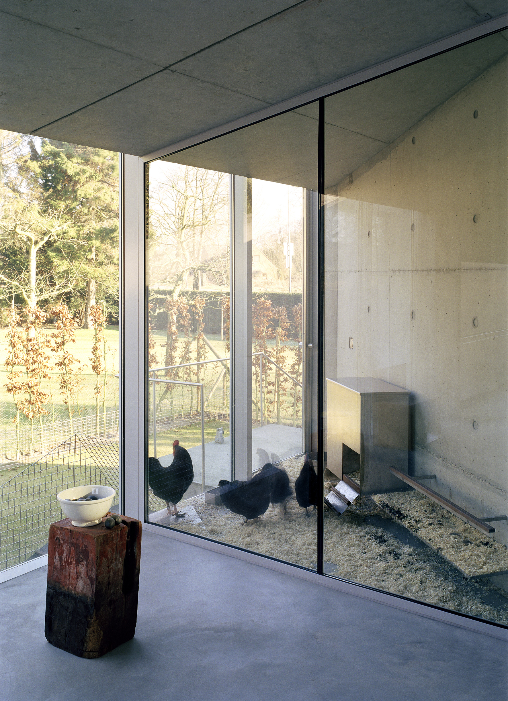 The Hedge House - Architizer