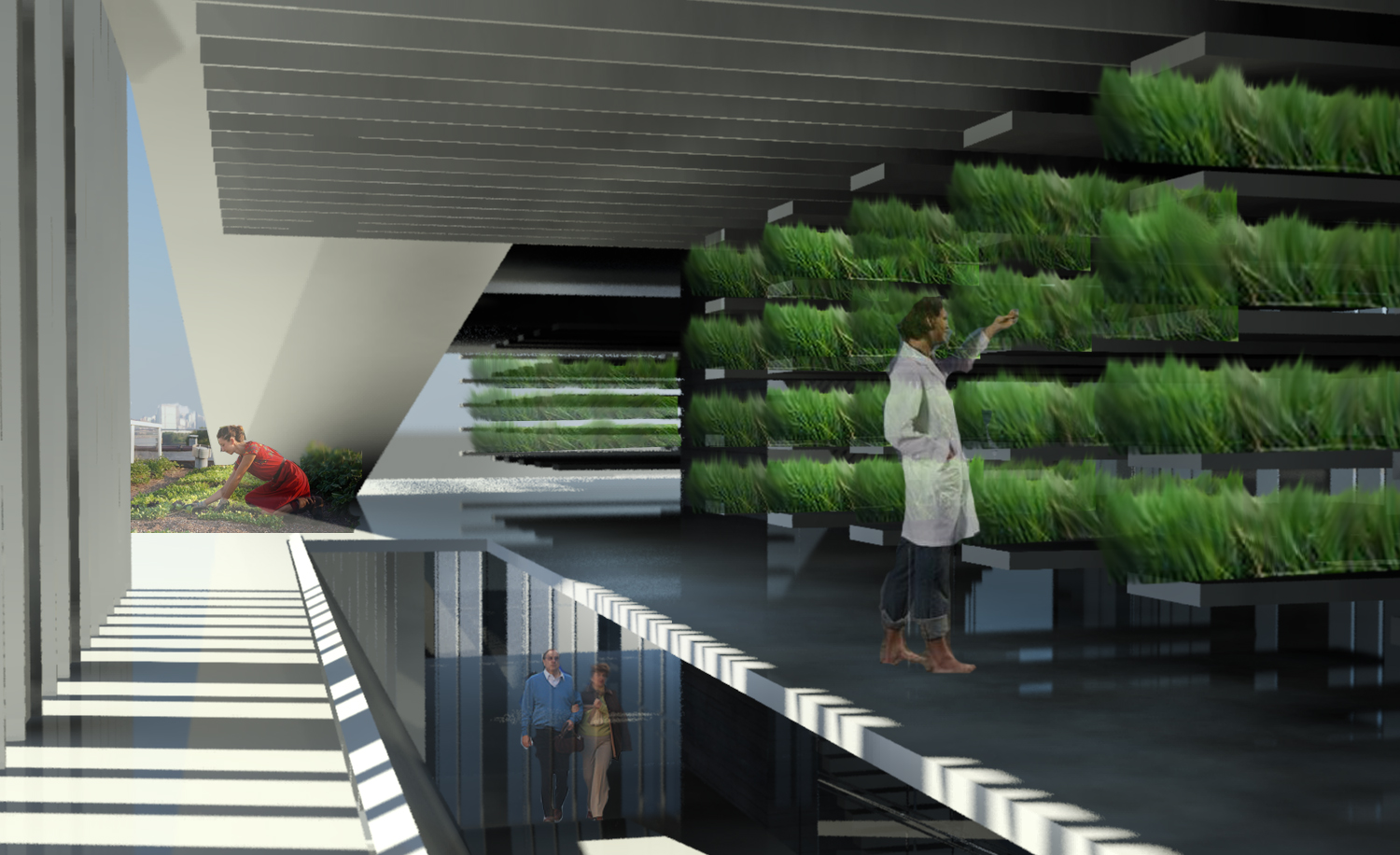 Urban Farm + Lab - Architizer