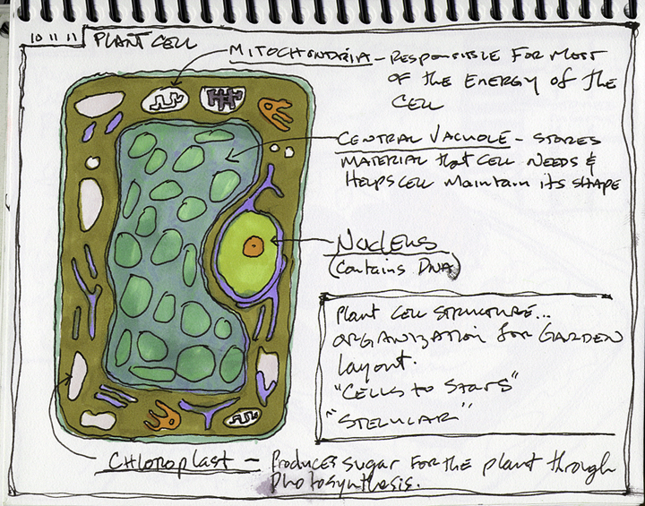 Vacuole - Architizer