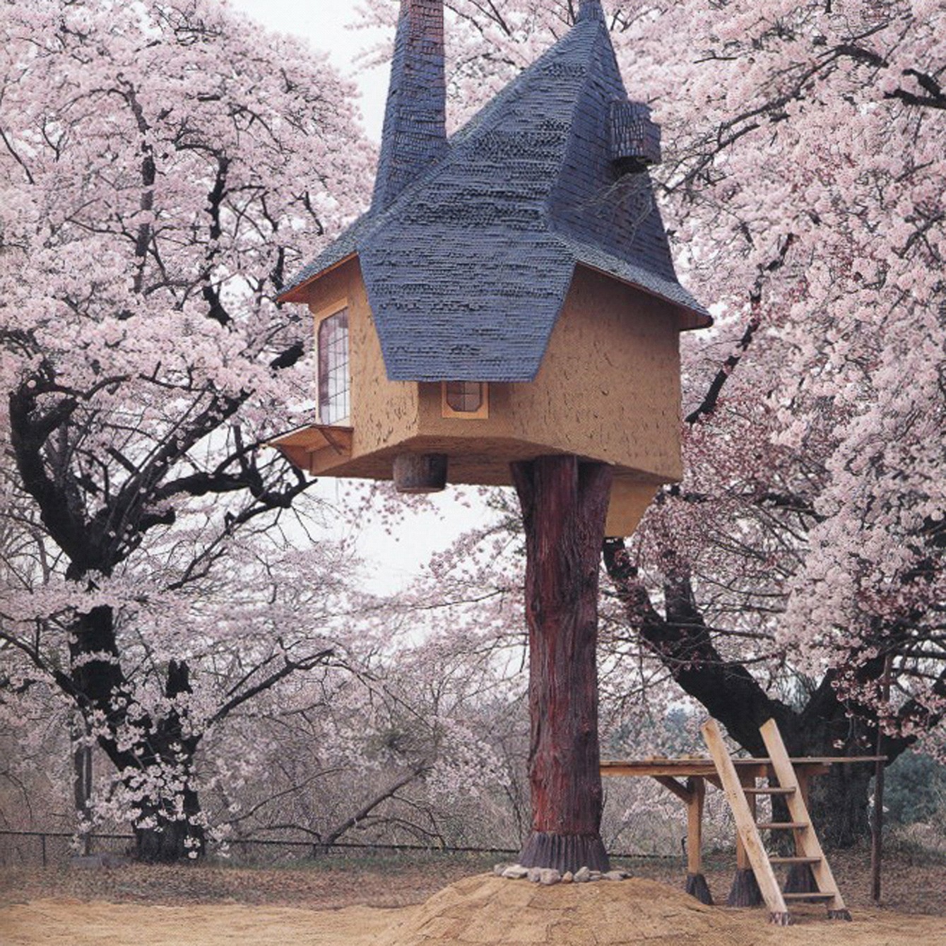 1:1 – Architects Build Small Spaces - Architizer